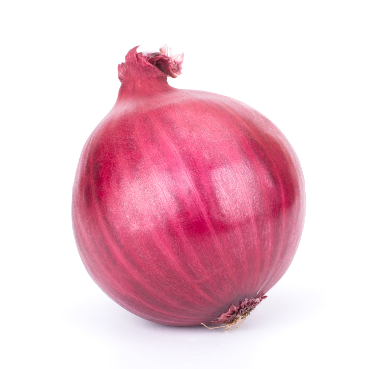 Zwiebel rot BIO – Obstkönige